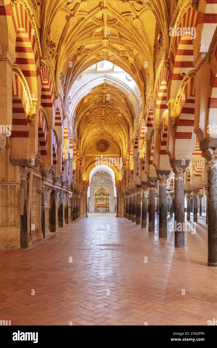 Long, antique corridor with majestic arches and columns, Cordoba Stock ...