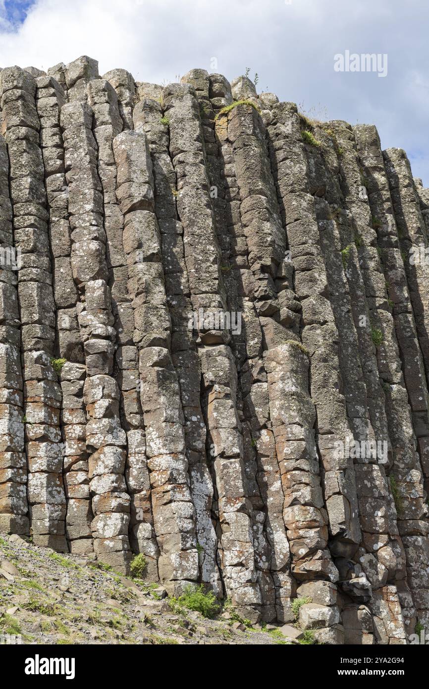 Vertical Boulders Column Signs