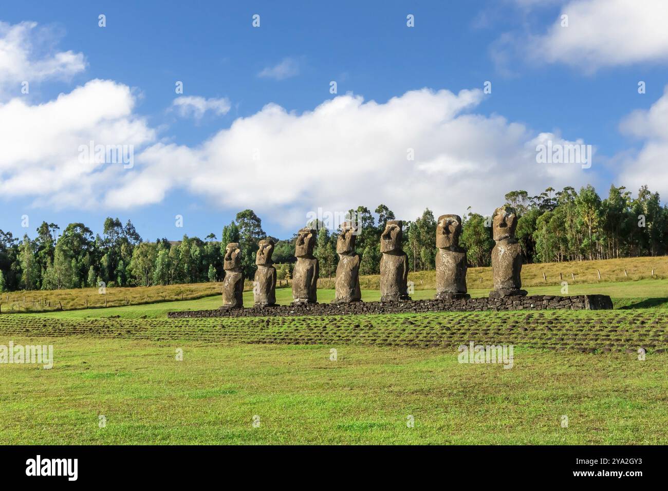 Seven Ahu Akivi Moai, which are the only Moai to face the sea. Easter ...