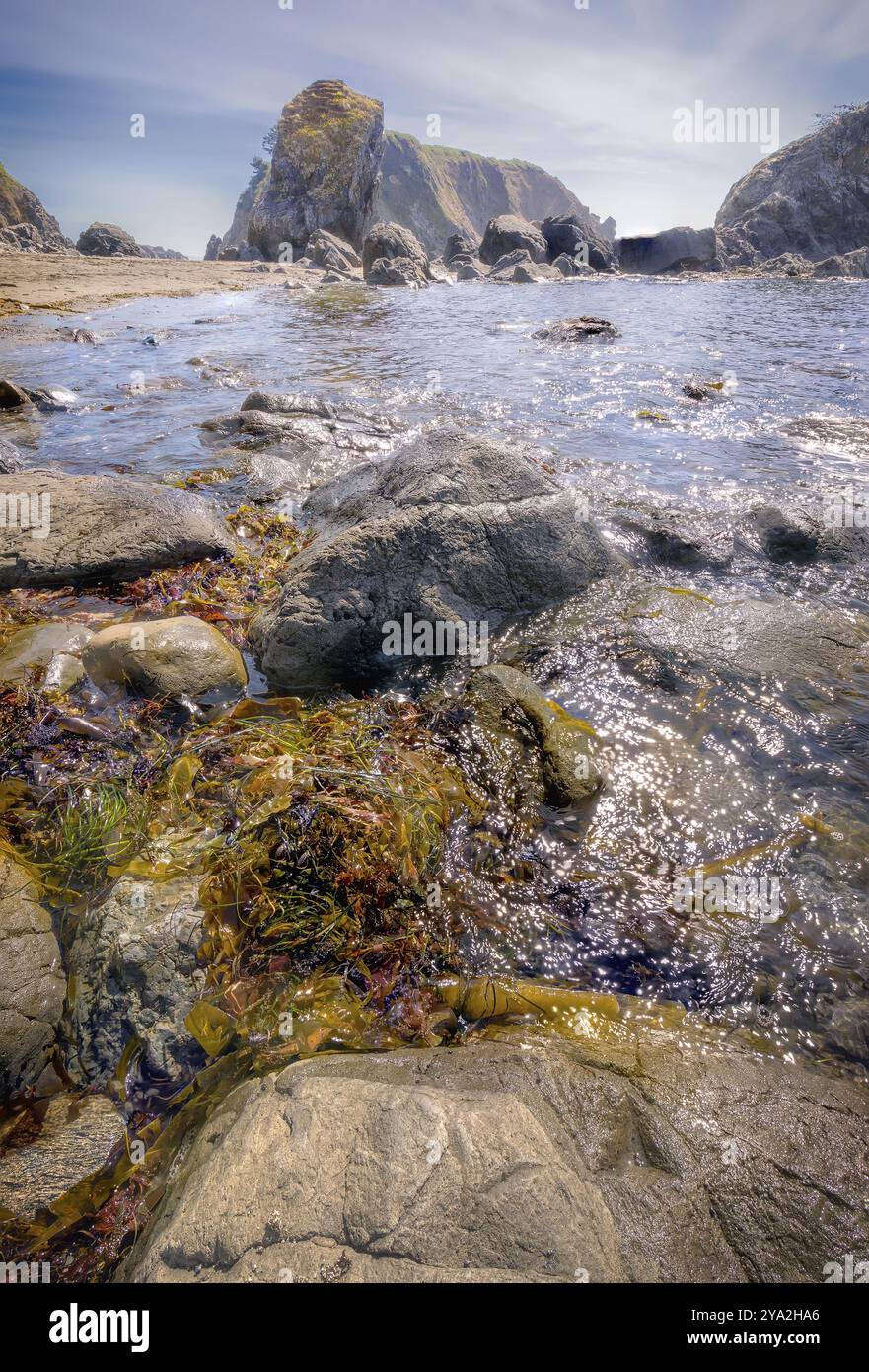 Rocky Beach Landscape, Color Image, Pacific Northwest Stock Photo - Alamy