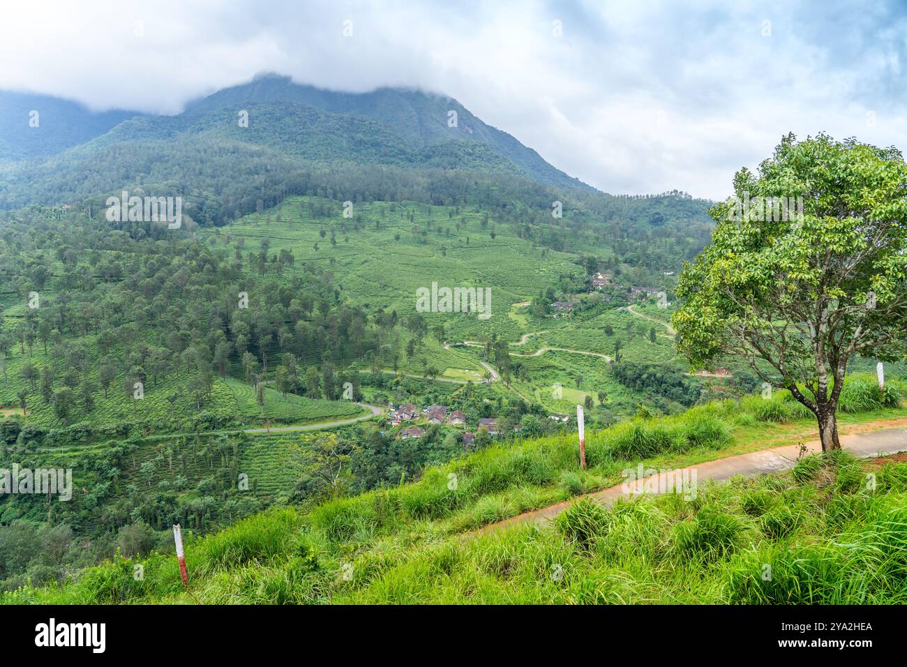 Yellamalai from Gudalur, Tamil Nadu - A Plantation Village in Tamil ...