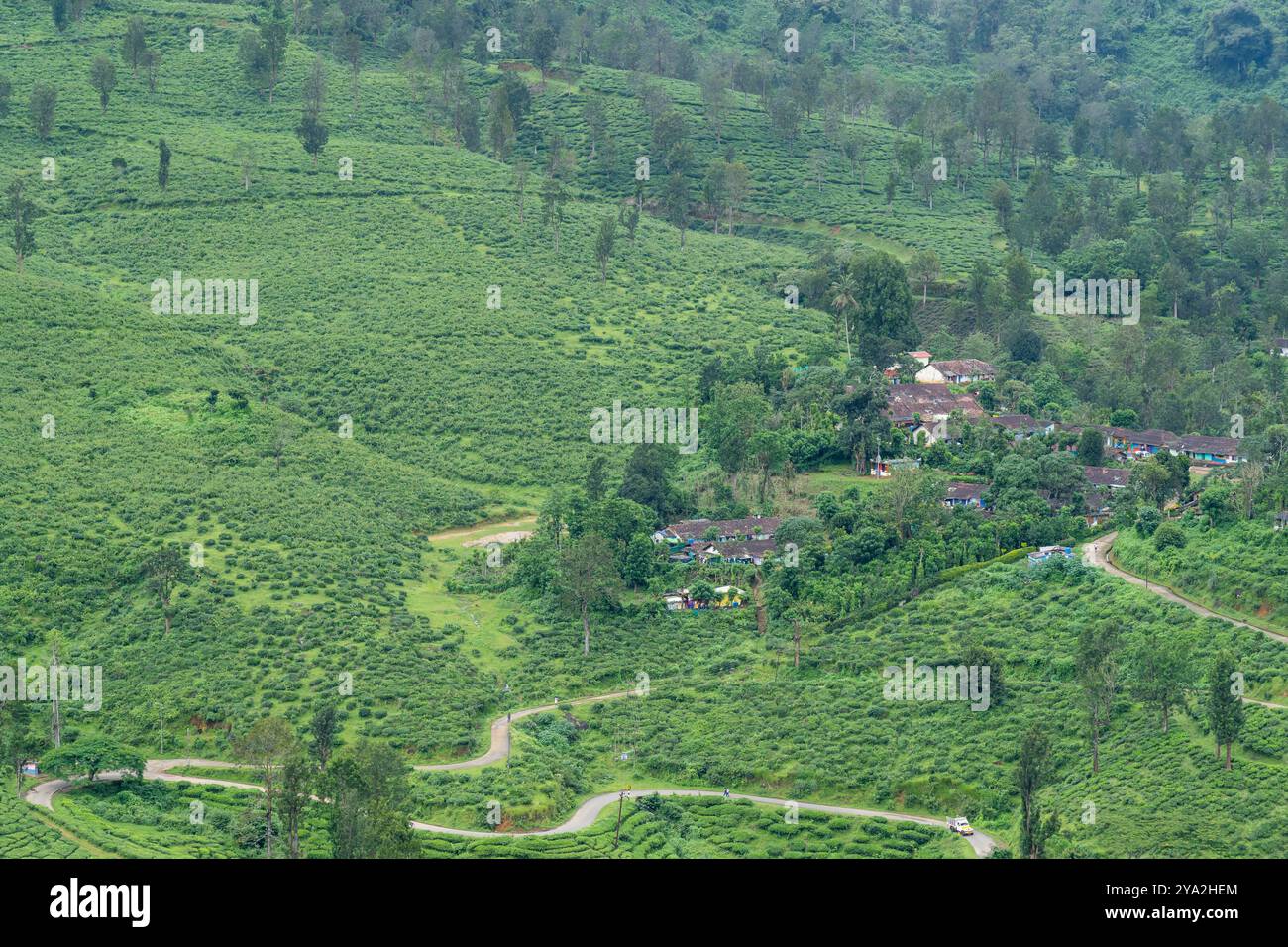 Yellamalai from Gudalur, Tamil Nadu - A Plantation Village in Tamil ...