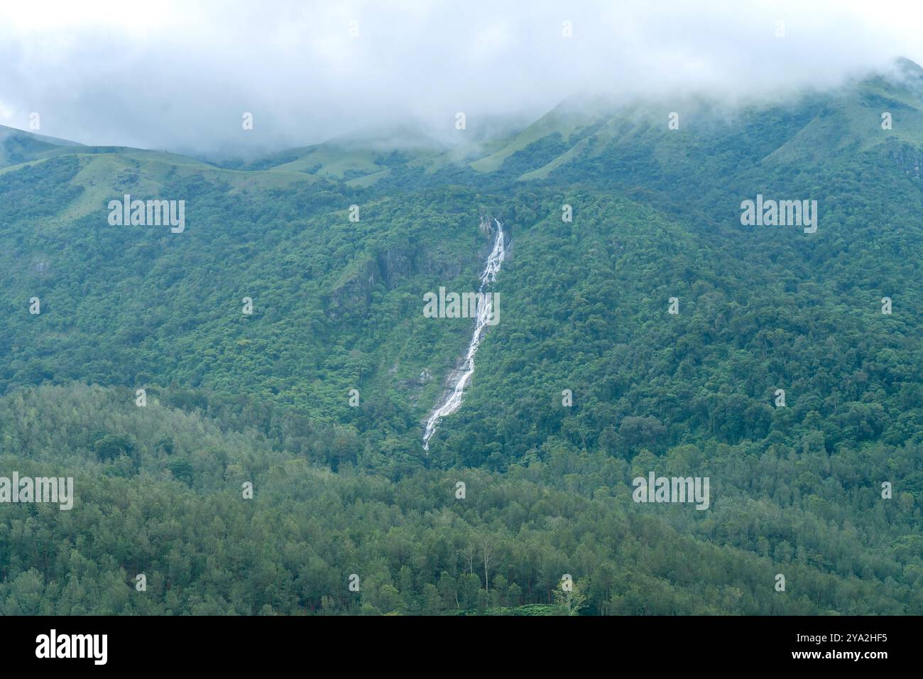 Yellamalai from Gudalur, Tamil Nadu - A Plantation Village in Tamil ...