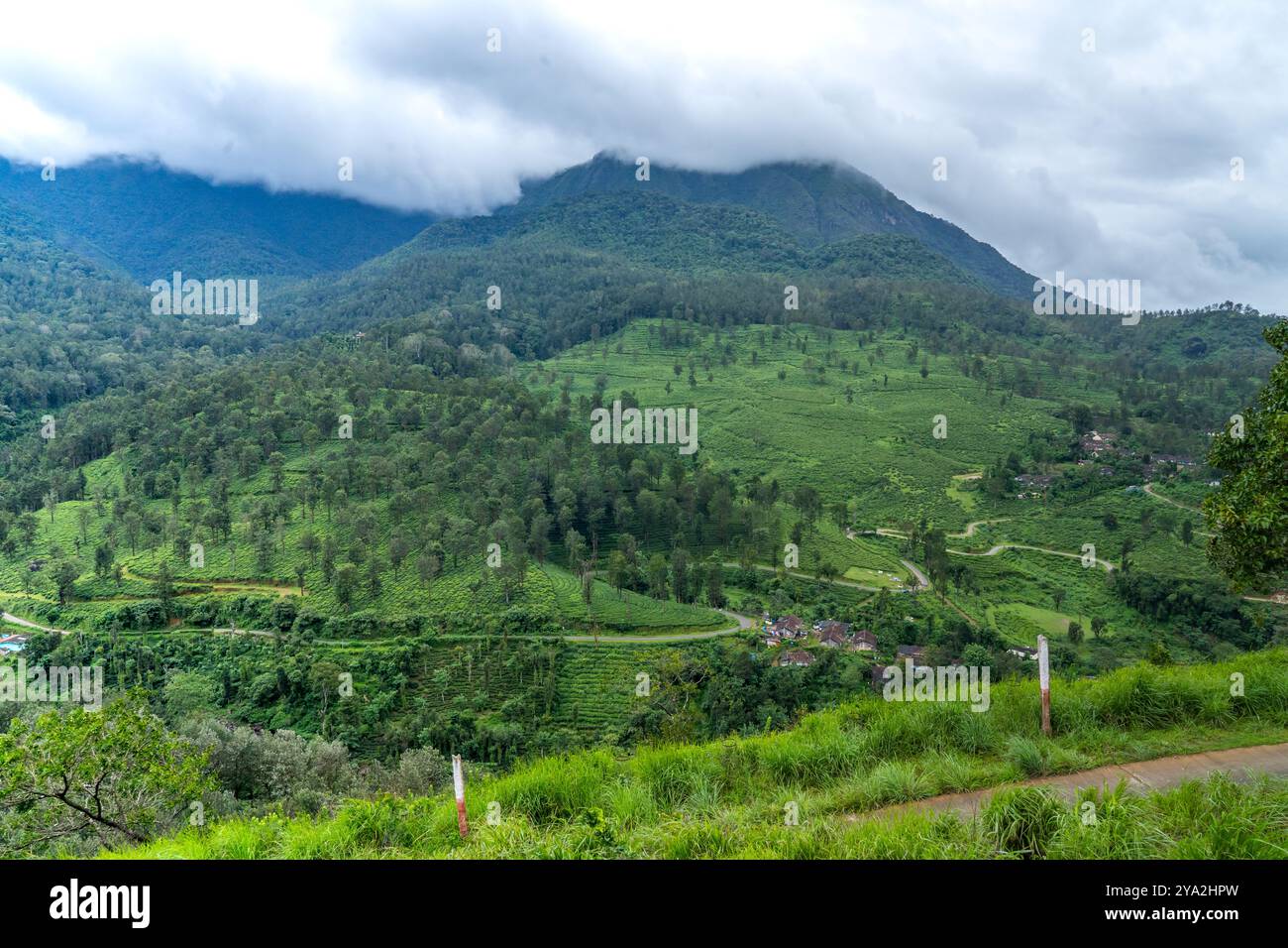 Yellamalai from Gudalur, Tamil Nadu - A Plantation Village in Tamil ...