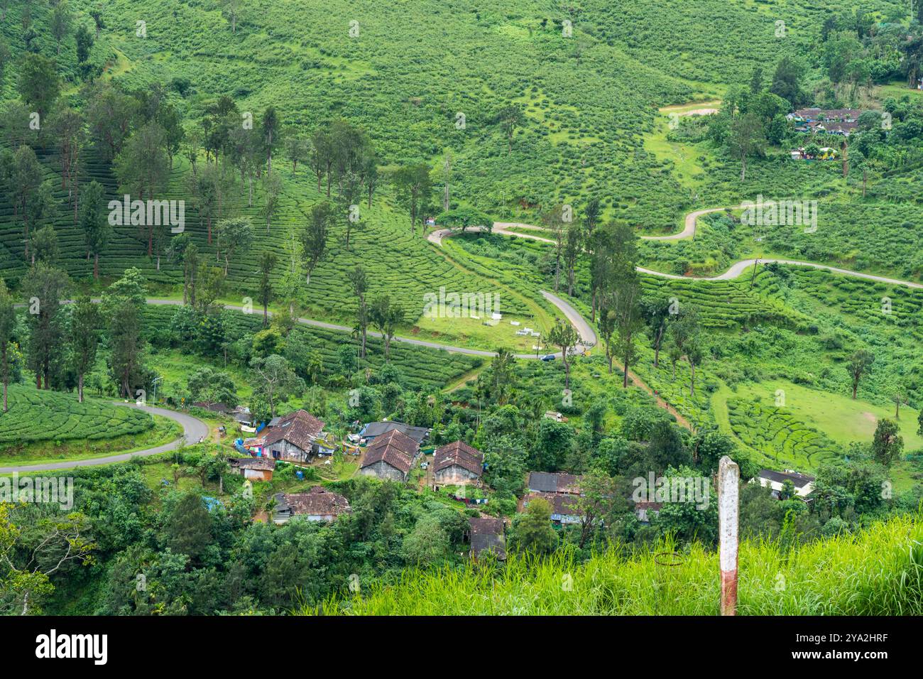 Yellamalai from Gudalur, Tamil Nadu - A Plantation Village in Tamil ...
