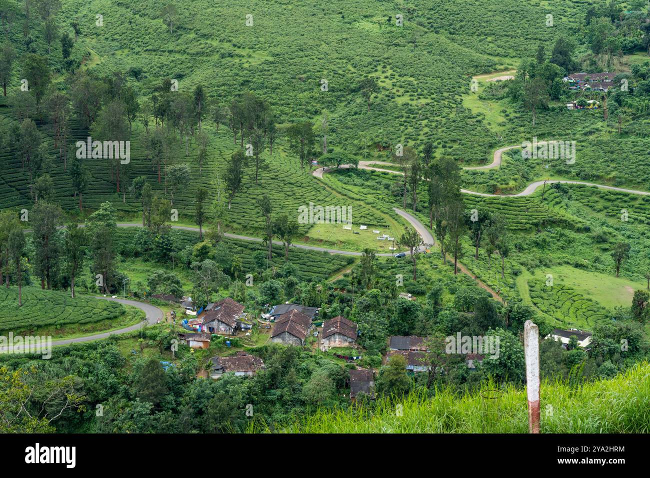 Neelagiri hi-res stock photography and images - Alamy
