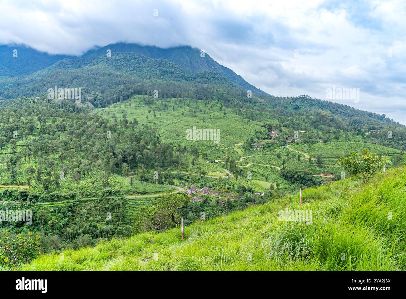 Yellamalai from Gudalur, Tamil Nadu - A Plantation Village in Tamil ...