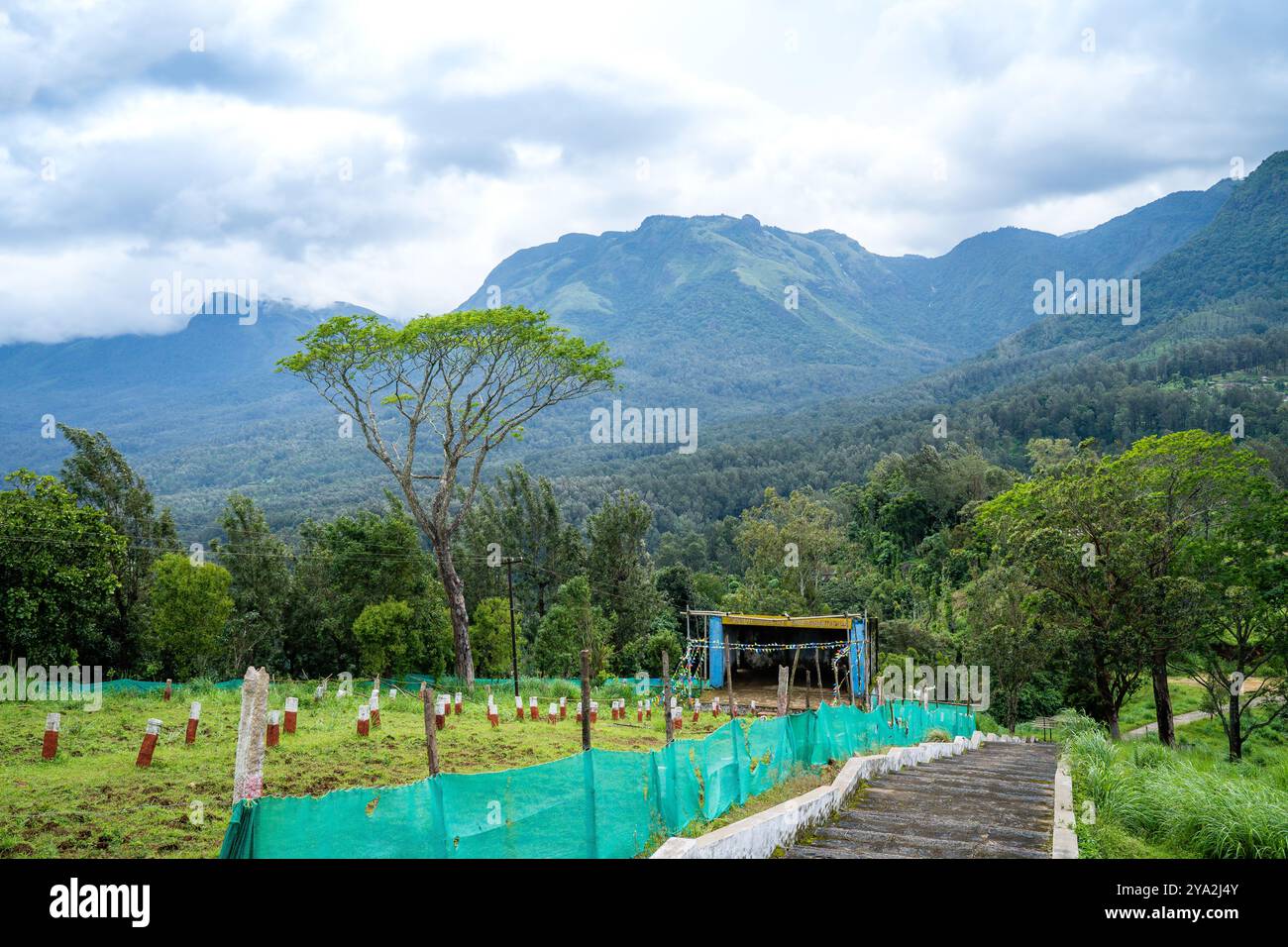 Yellamalai from Gudalur, Tamil Nadu - A Plantation Village in Tamil ...
