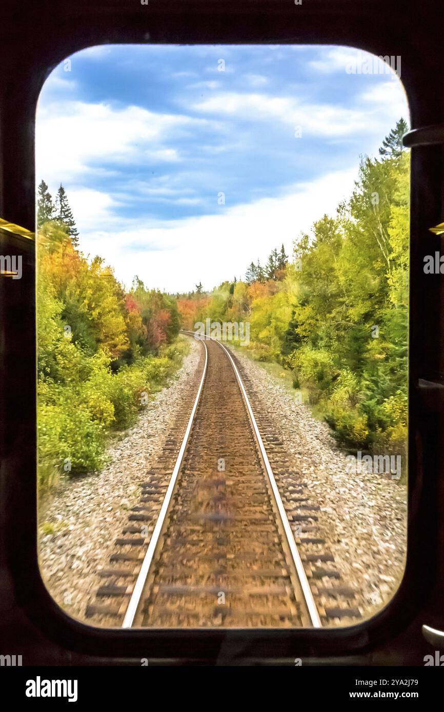 Long view from back train hi-res stock photography and images - Alamy