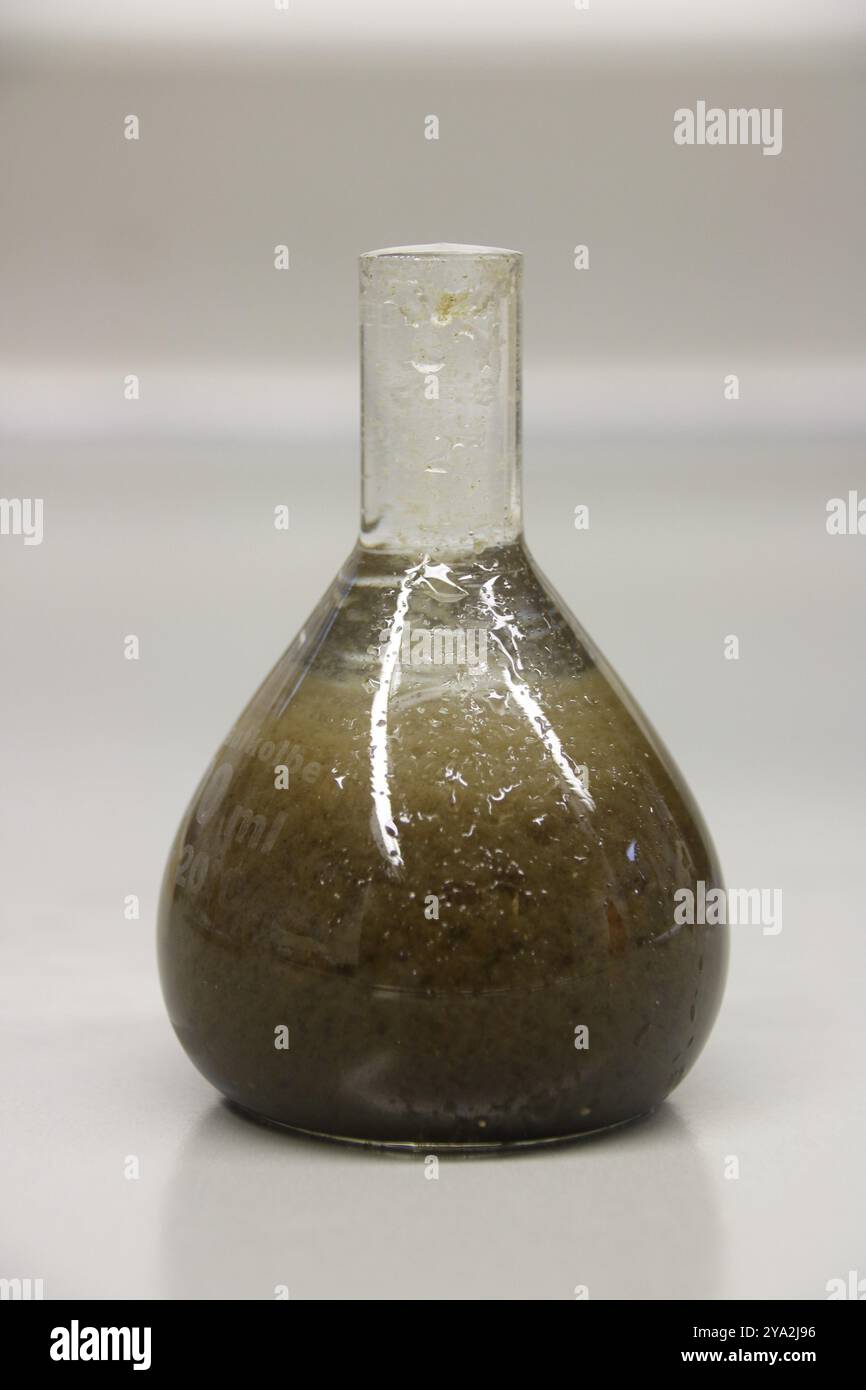 Activated sludge to determine the dry matter content in the aeration ...