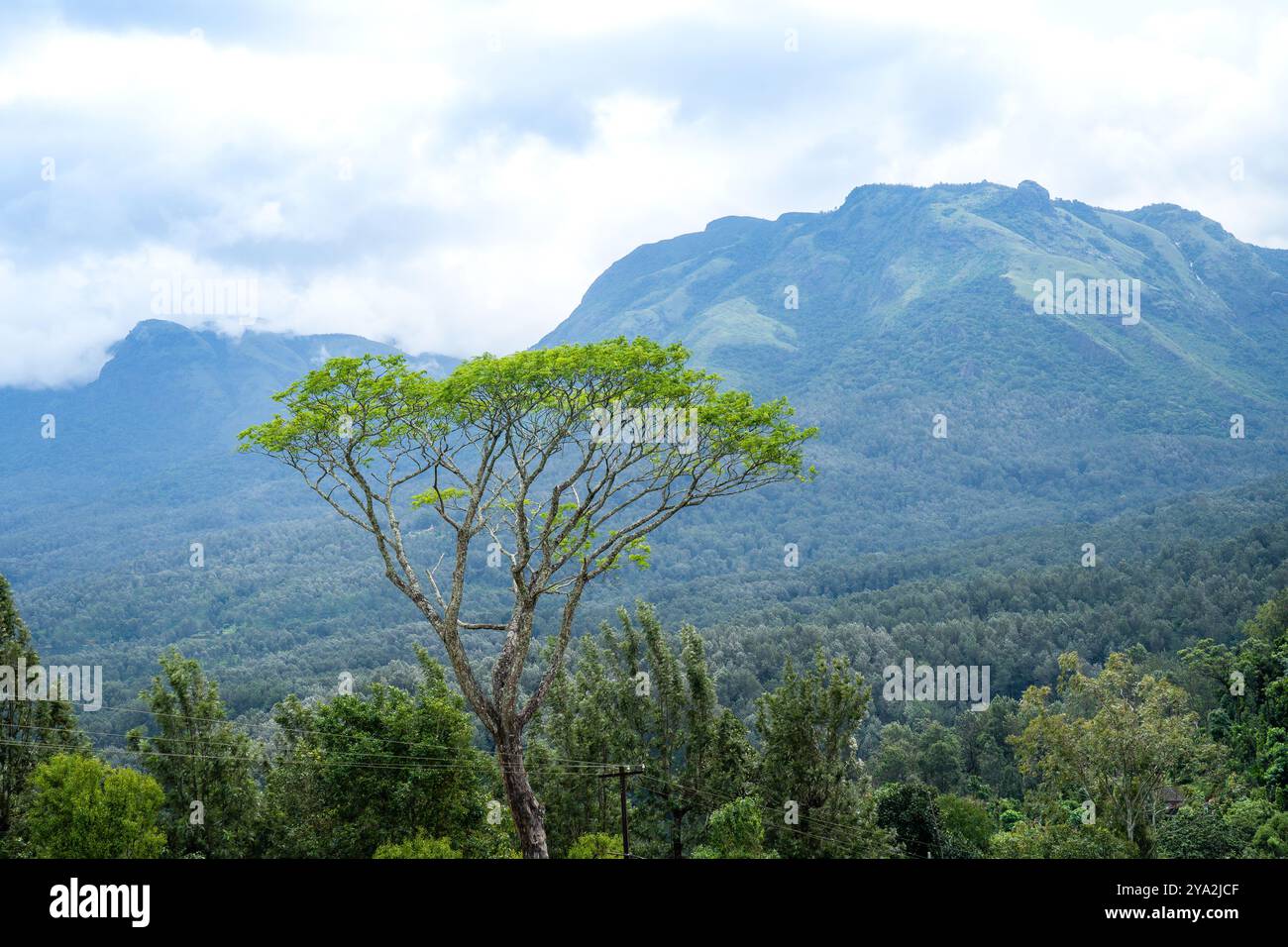 Yellamalai from Gudalur, Tamil Nadu - A Plantation Village in Tamil ...