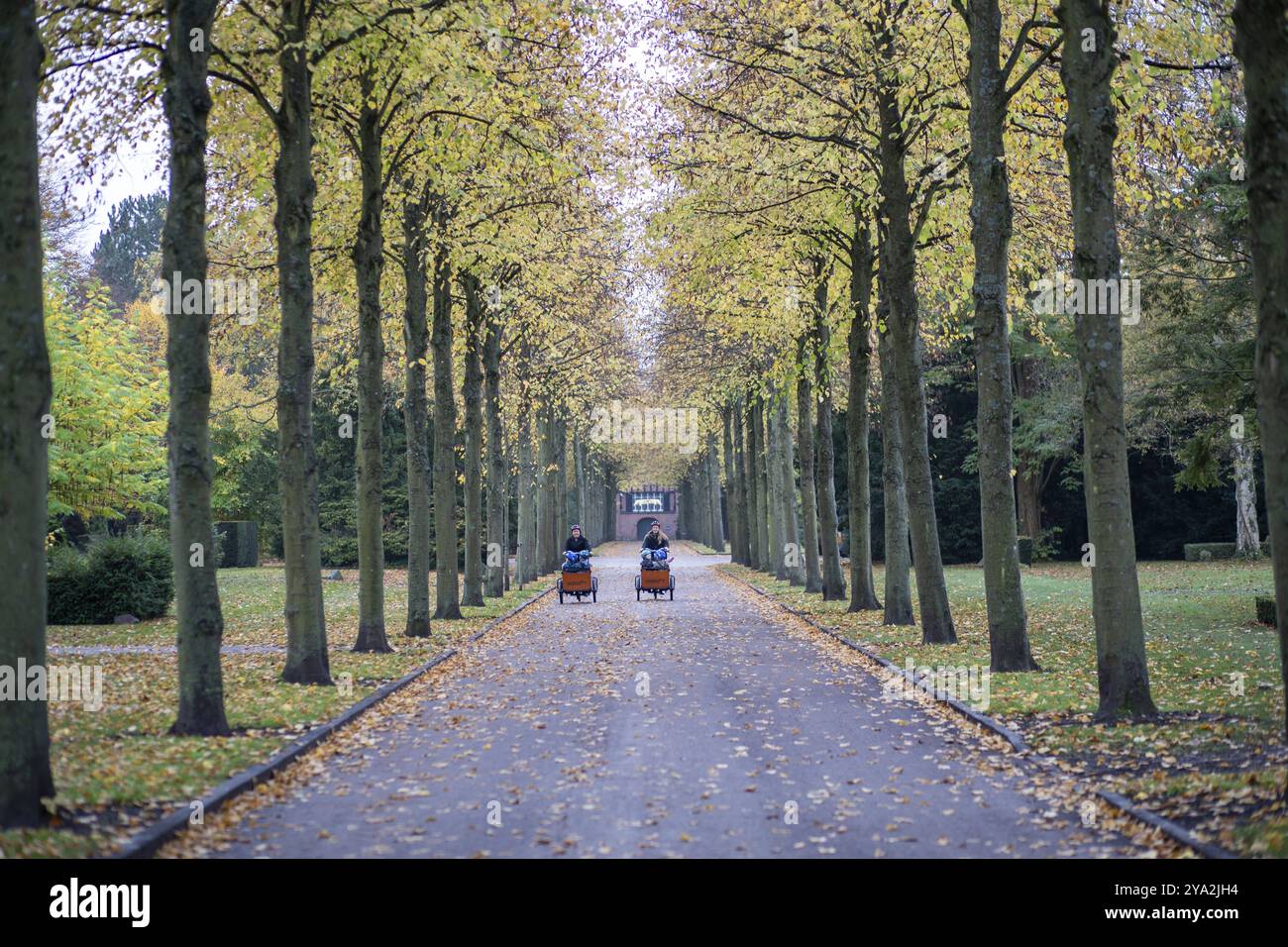 Copenhagen, Denmark, October 27, 2022: People in a tree alley on Vestre ...
