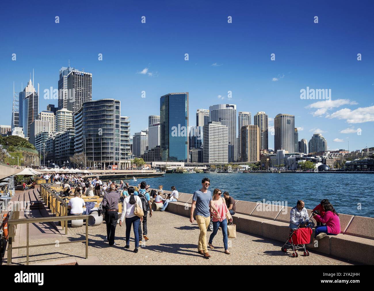 Central sydney CBD area skyline and circular quay in australia from ...