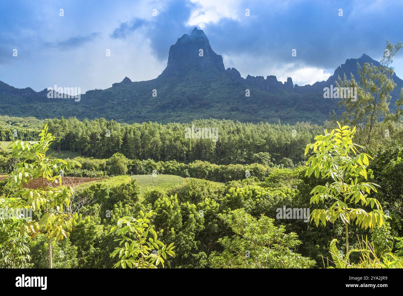 Moorea Island in the French Polynesia Stock Photo - Alamy