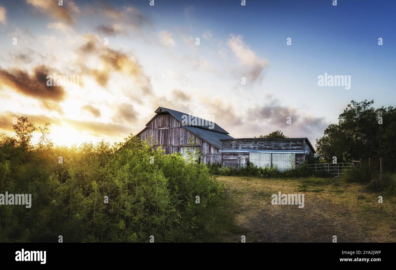 An Old Barn at Sunset, Panoramic Color Image, USA, North America Stock ...