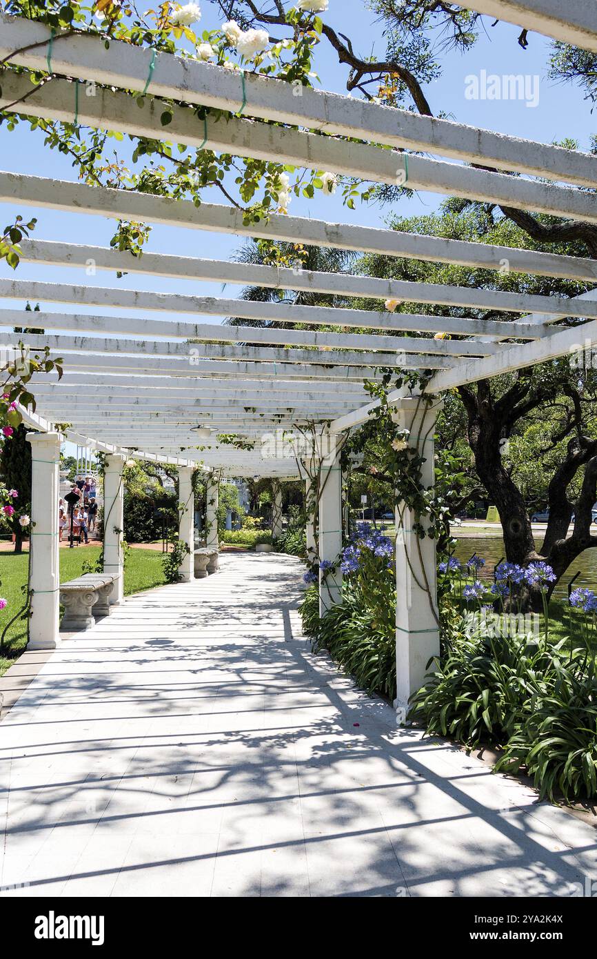 Rose park in the Palermo forest with over a thousand roses in Buenos ...