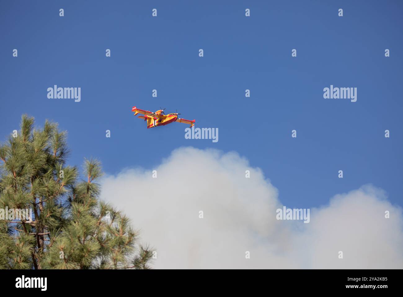plane flying through smoke Stock Photo - Alamy