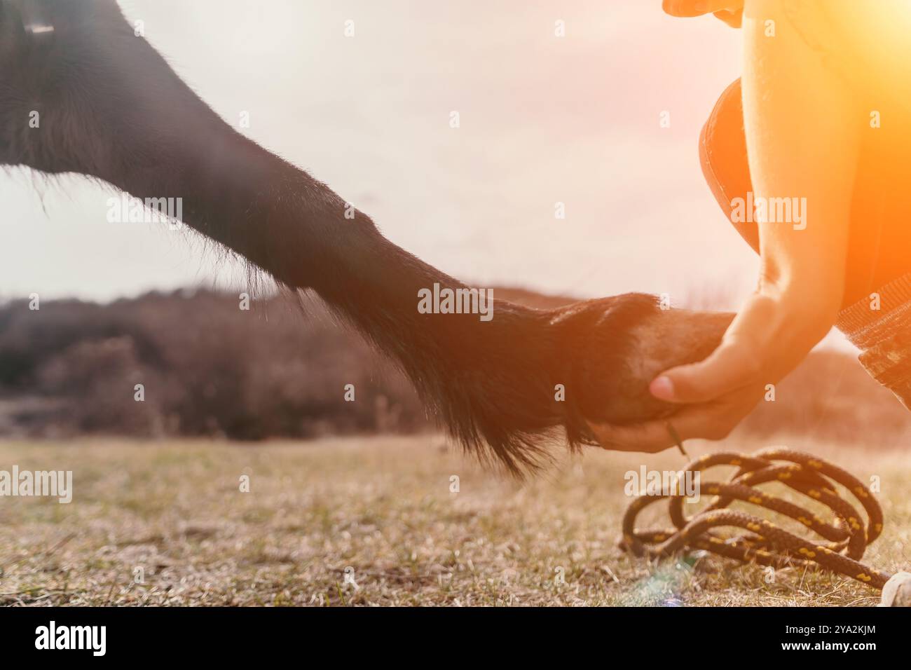 Hand rider hi-res stock photography and images - Alamy