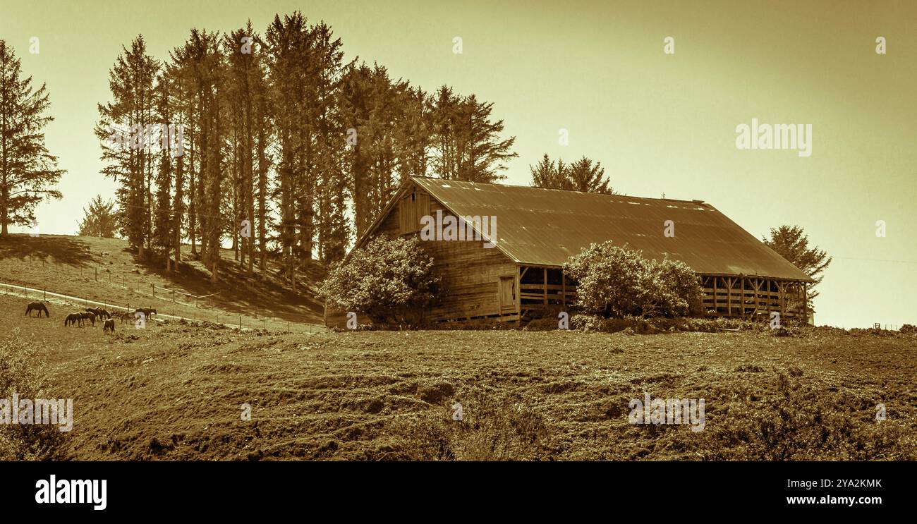 Old horse barns hi-res stock photography and images - Alamy