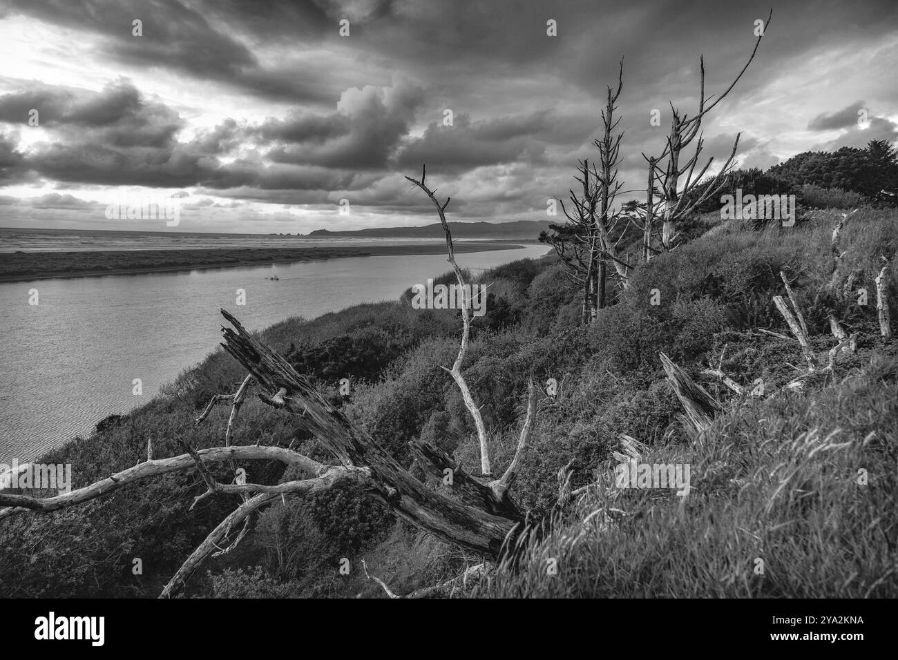 A black and white image of the Mad River in Northern California Stock ...