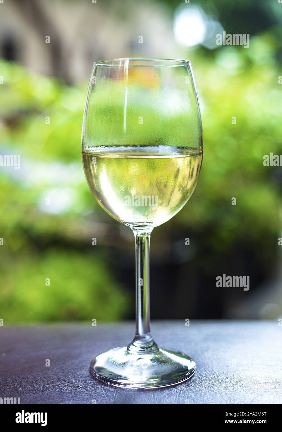 White wine grapes outside hi-res stock photography and images - Alamy