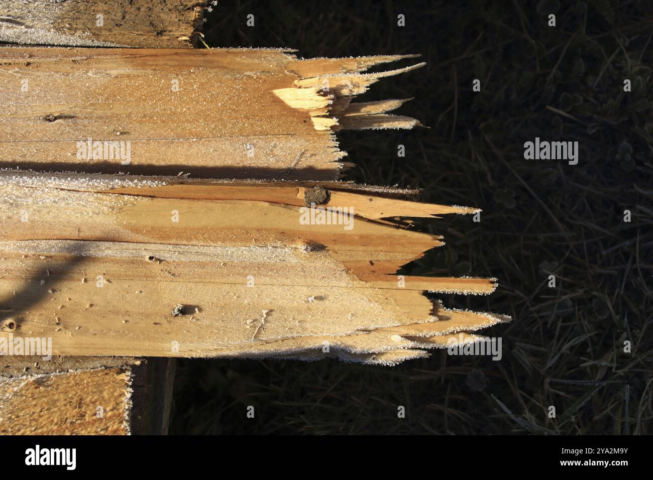 Broken edge on a board made of timber Stock Photo - Alamy