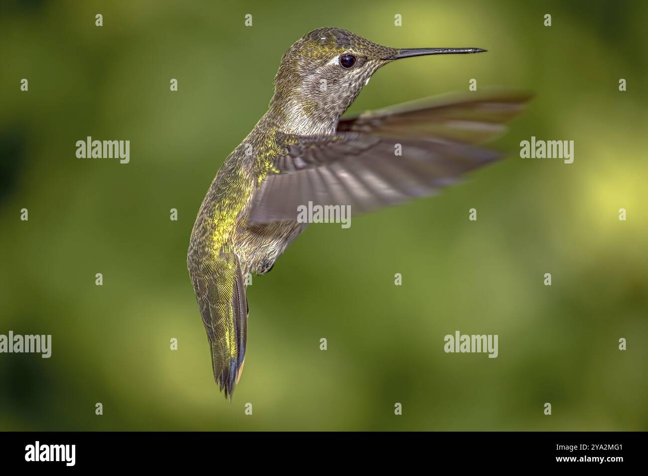 Captured mid environment hi-res stock photography and images - Alamy