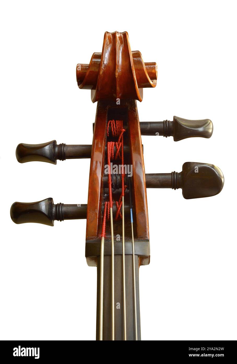 Cello head hi-res stock photography and images - Alamy