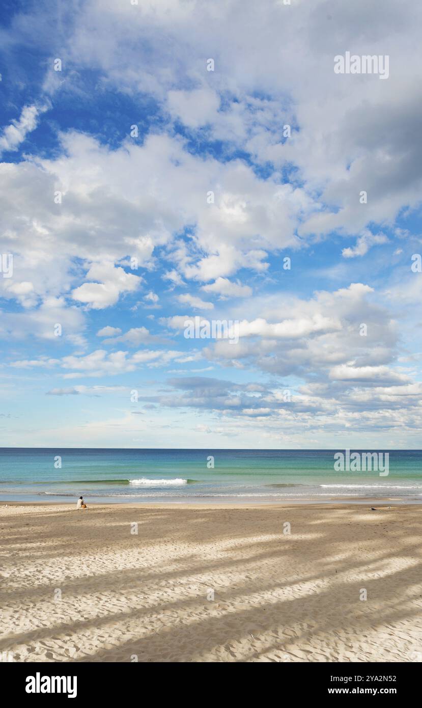 Manly sydney woman hi-res stock photography and images - Alamy