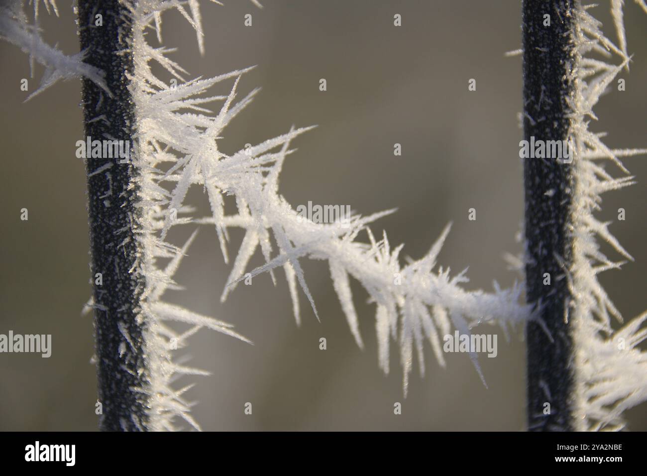 Close up shot ice hi-res stock photography and images - Alamy