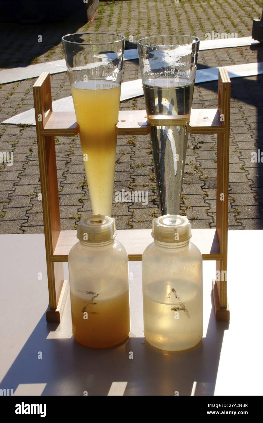 Experimental setup to determine the settling behaviour in the inlet and ...