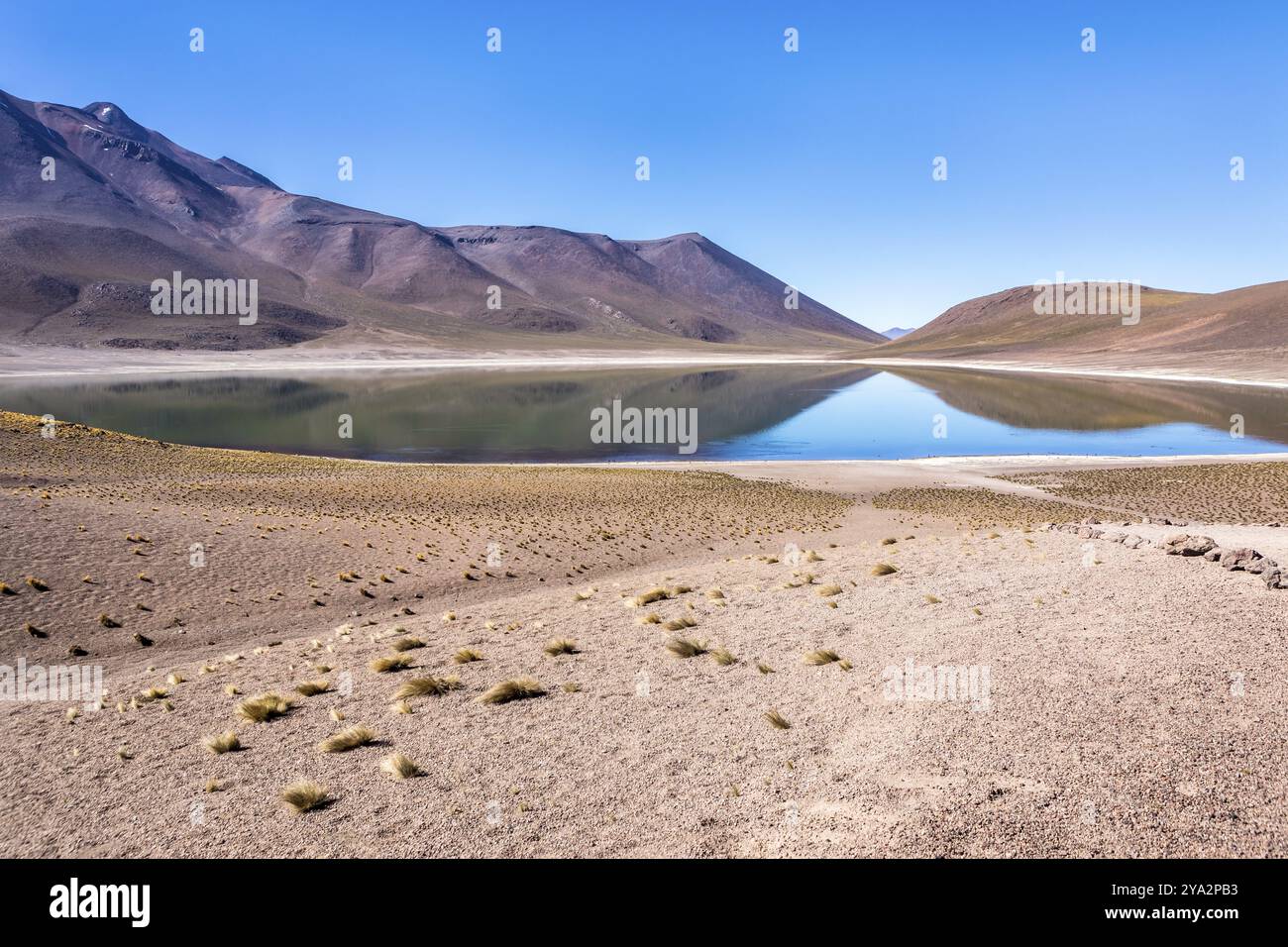 Lagunas Altiplanicas, Miscanti y Miniques, amazing view at Atacama ...