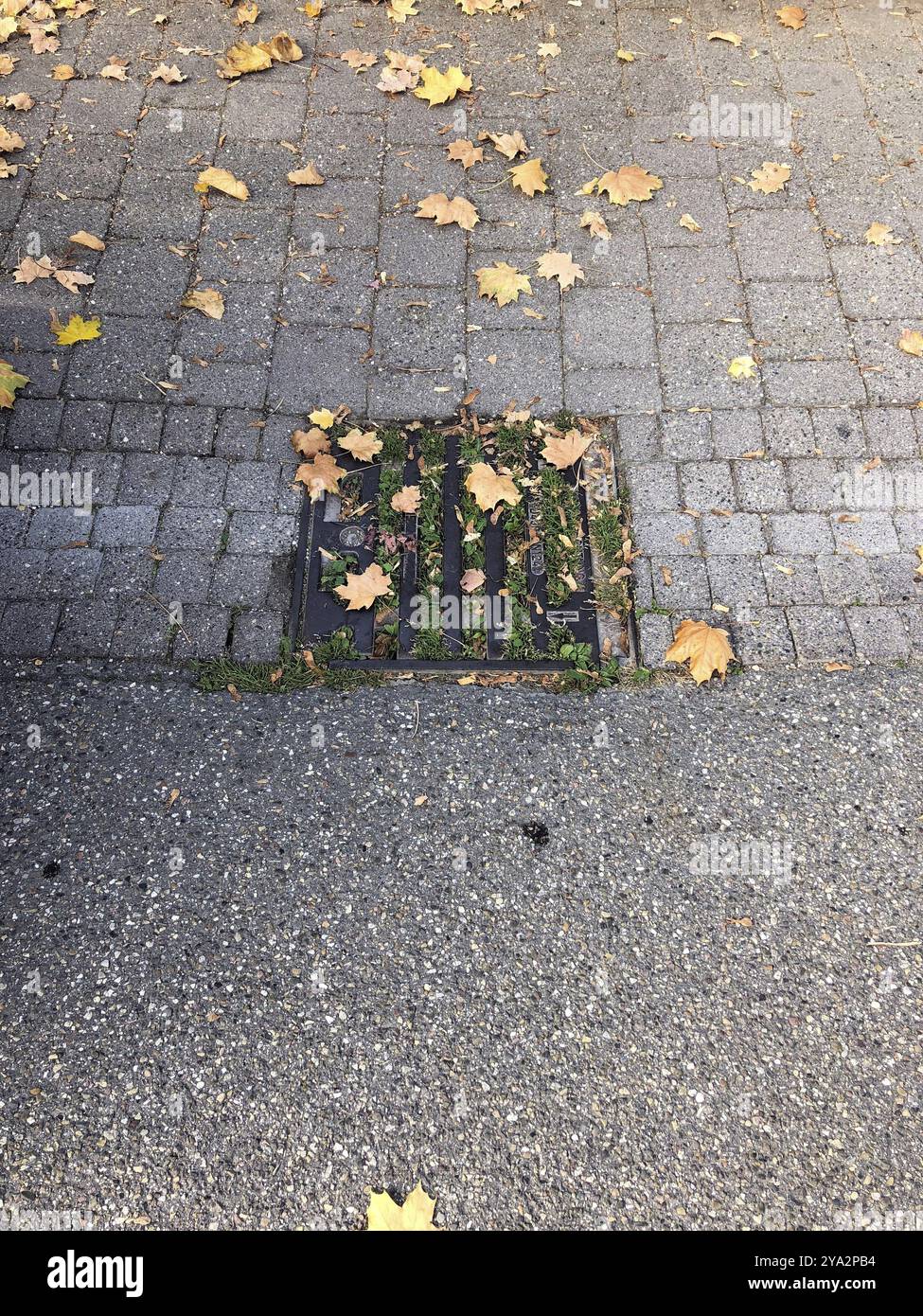 Inlet shaft for road drainage blocked by soil Stock Photo - Alamy