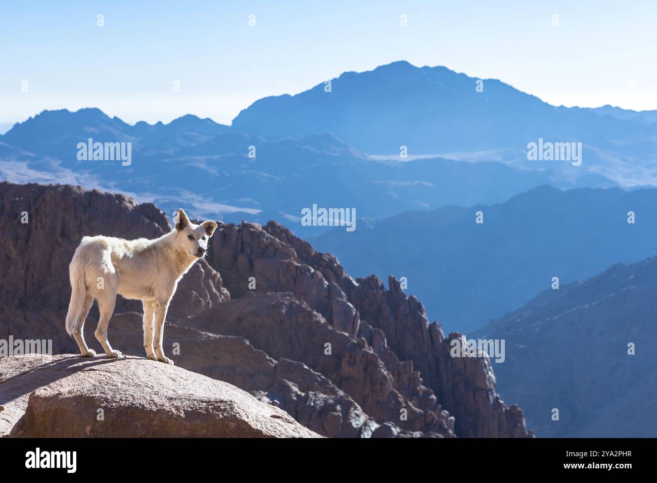 Mount Sinai, Mount Moses in Egypt. Africa Stock Photo - Alamy