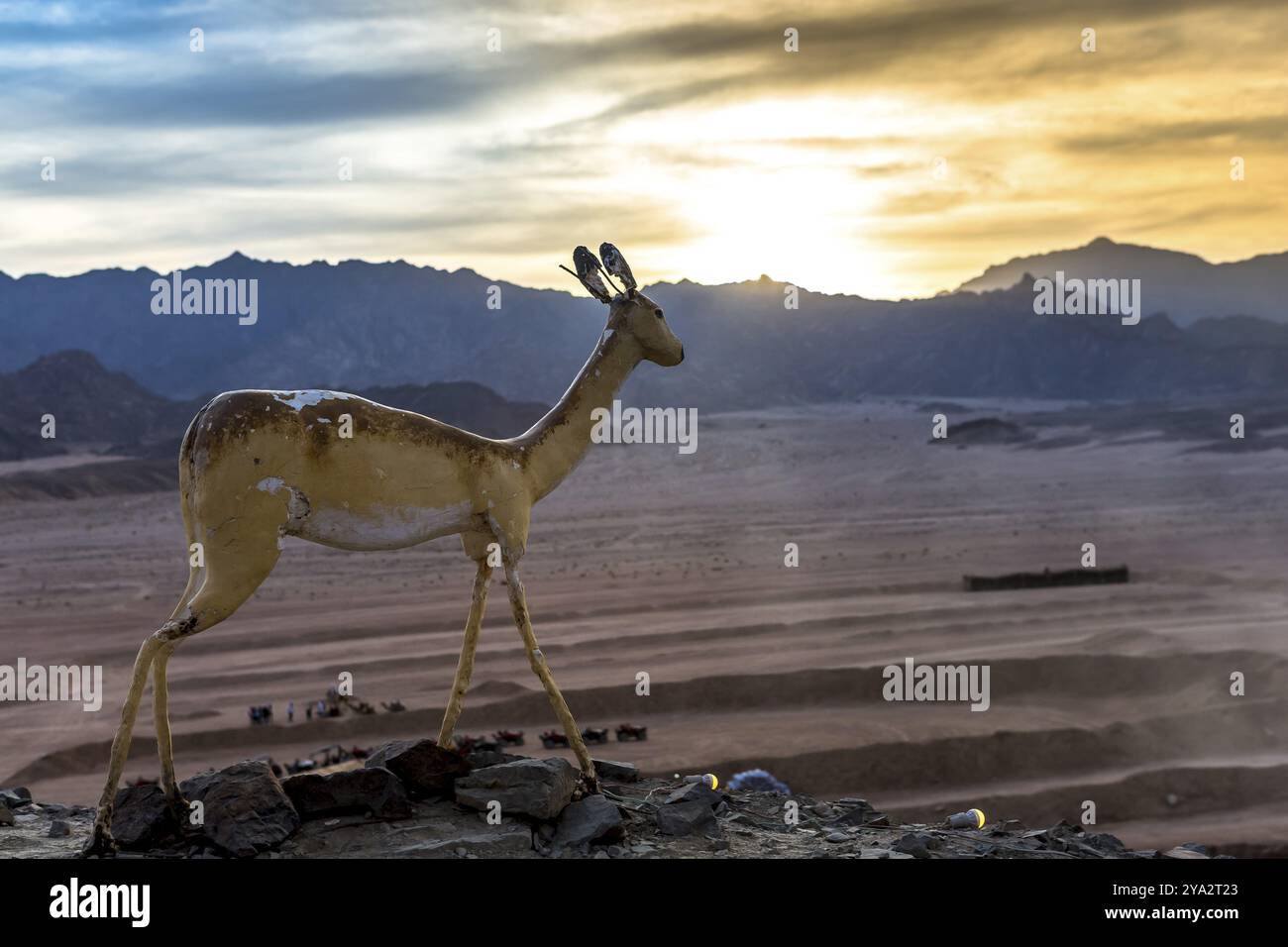 Ras Mohamed National Park in Egypt. Africa Stock Photo - Alamy