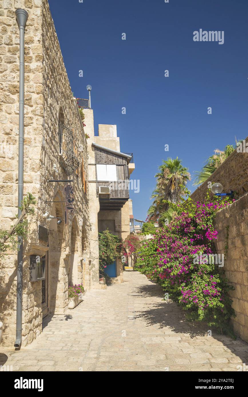 Tel aviv city road streets hi-res stock photography and images - Alamy