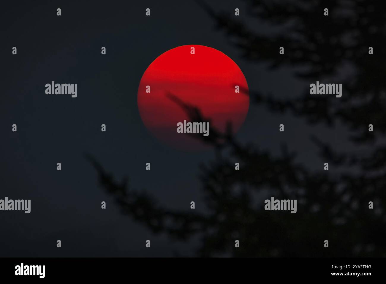 Wildfire sun hi-res stock photography and images - Alamy
