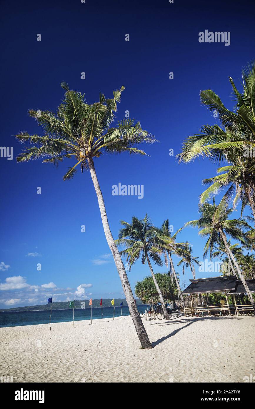 Puka beach in tropical paradise boracay island philippines Stock Photo ...