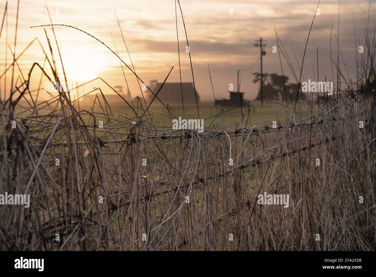 American rural landscape hi-res stock photography and images - Alamy