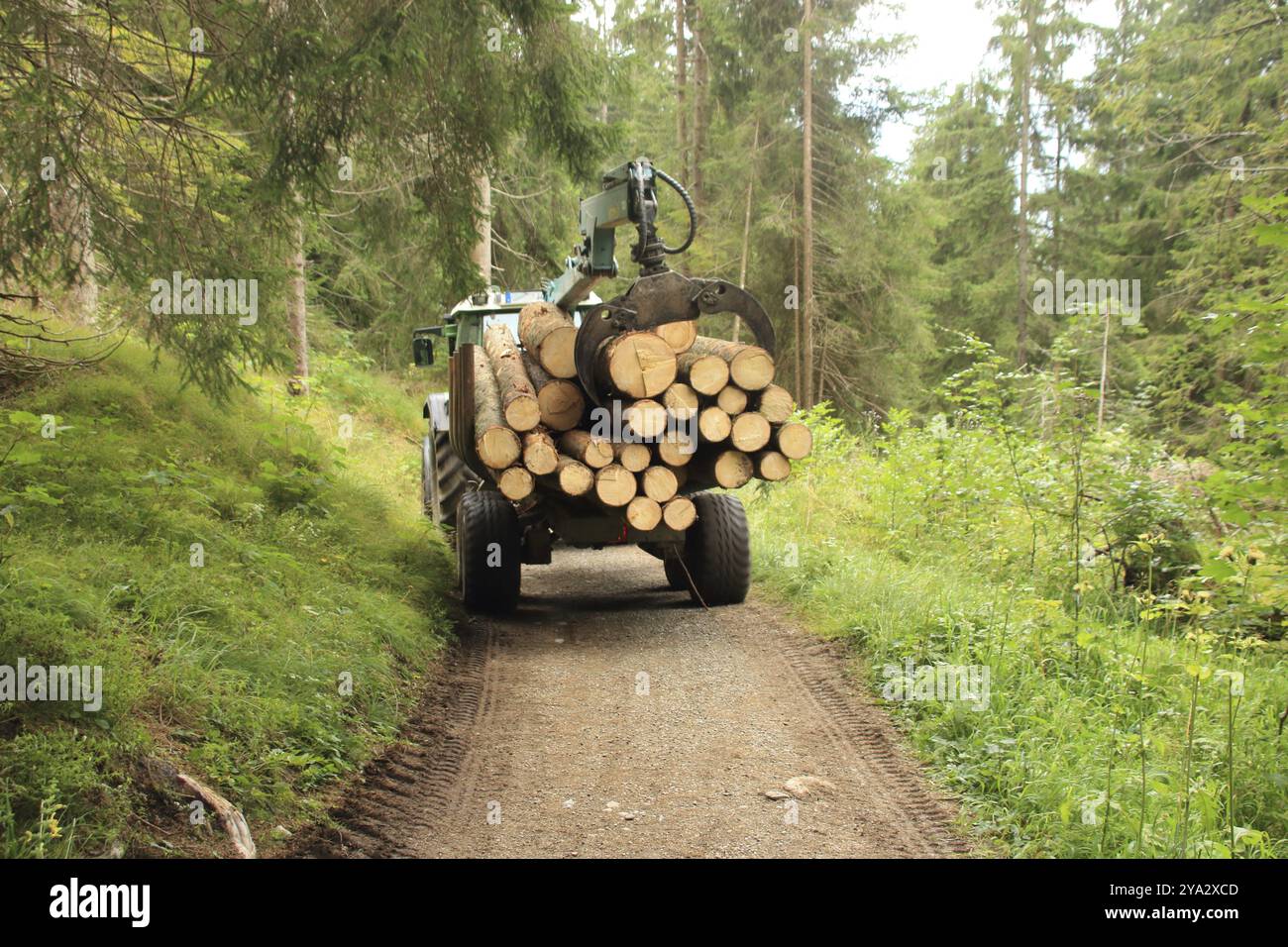 Timber transporters hi-res stock photography and images - Alamy