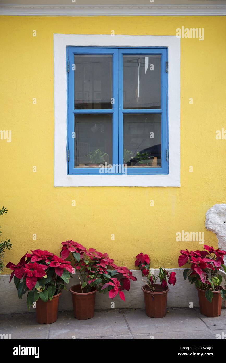 Portuguese style colorful window in taipa macau china Stock Photo - Alamy