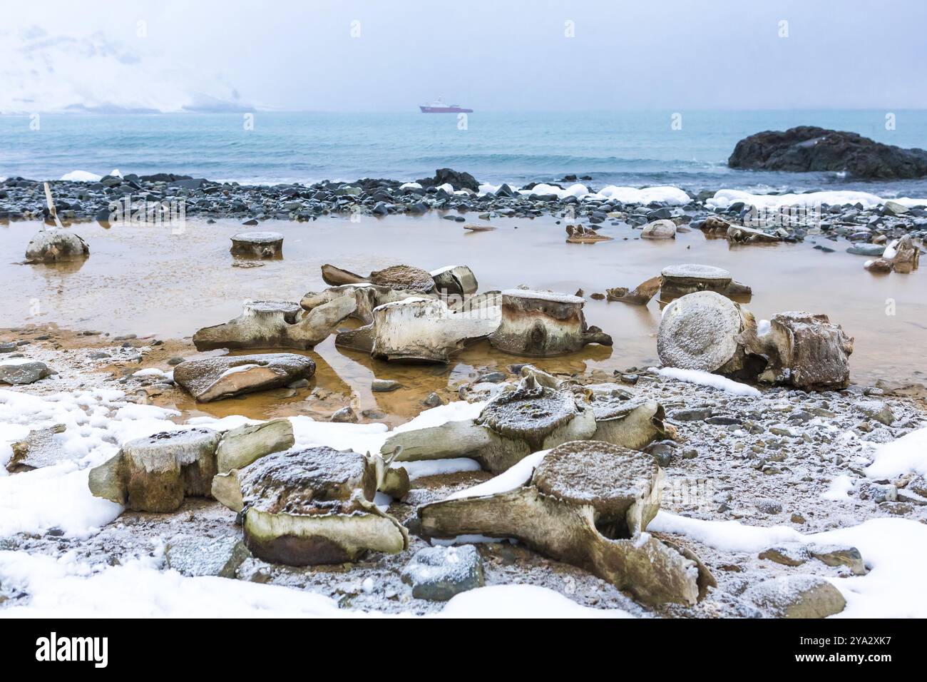 Beautiful landscape and scenery in Antarctica. Freezing Stock Photo - Alamy