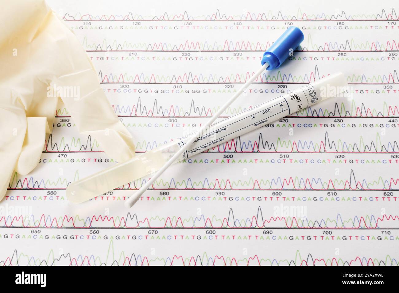 DNA swab test, cotton swabs for genetic fingerprinting Stock Photo - Alamy