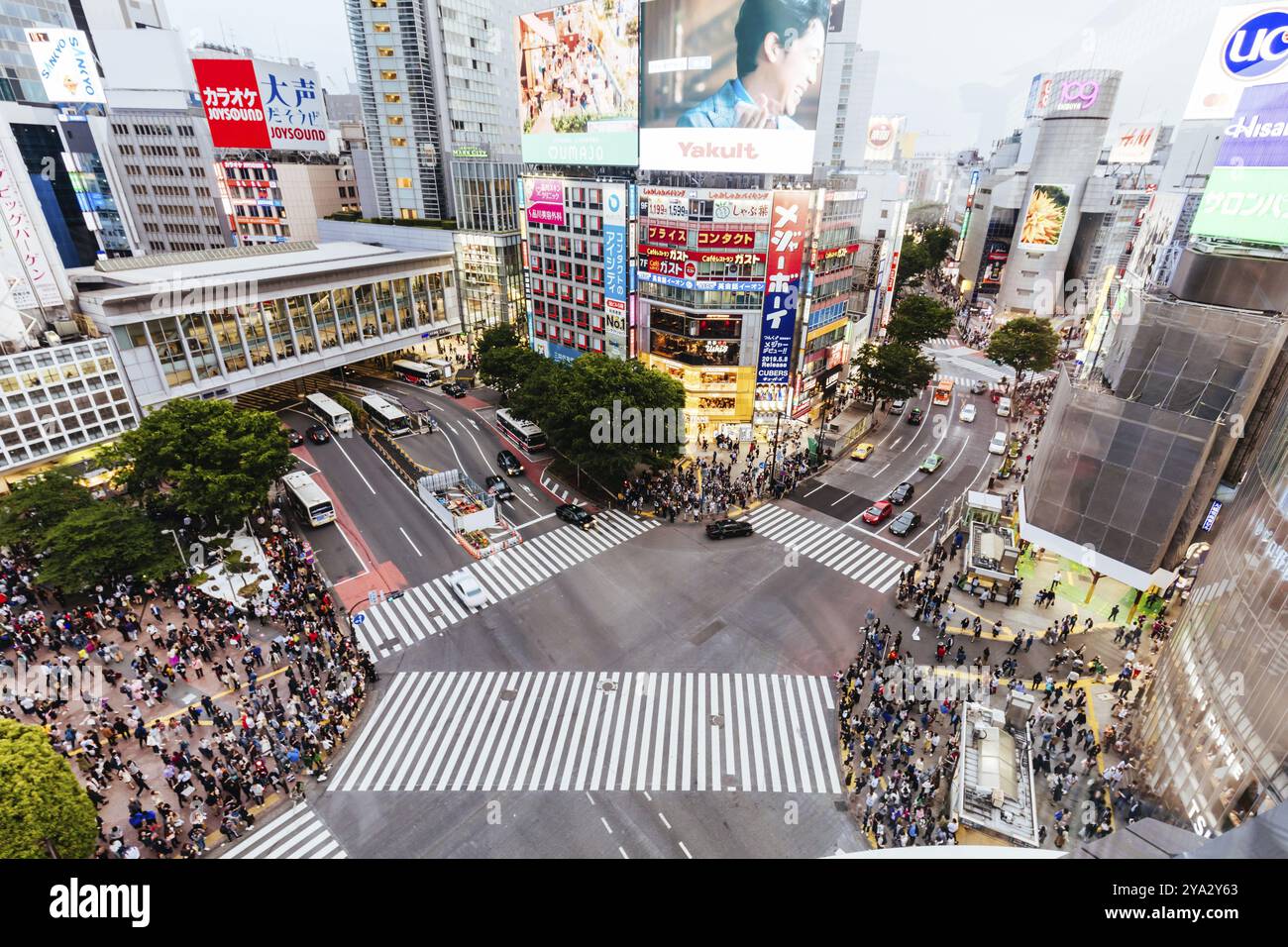 TOKYO, JAPAN, MAY 12, 2019, Shibuya Crossing is one of the world's most ...