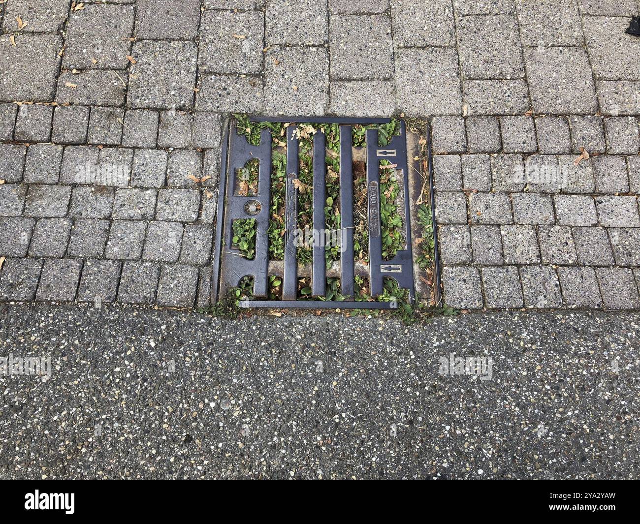 Inlet shaft for road drainage blocked by soil Stock Photo - Alamy