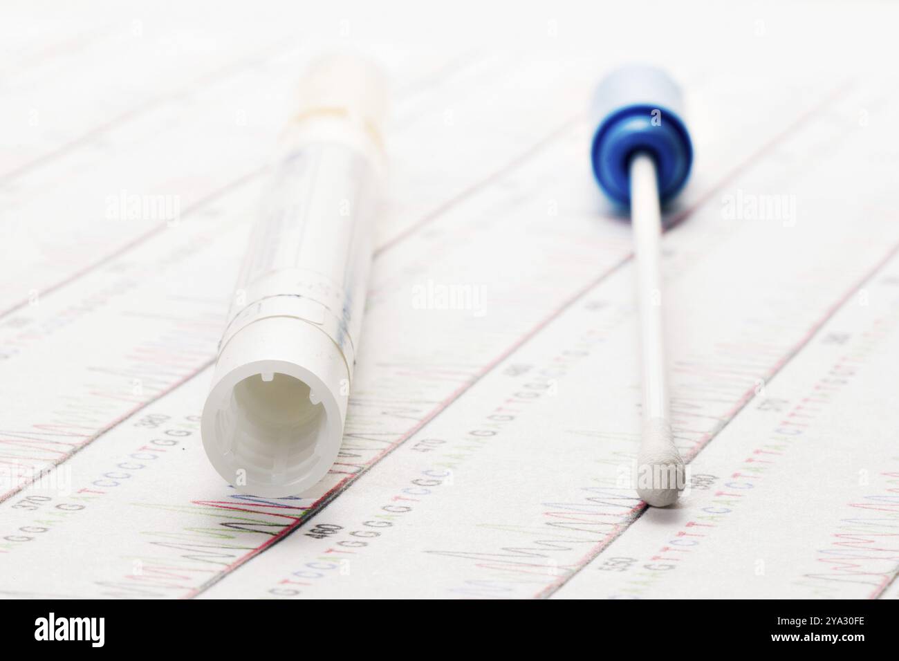 DNA swab test, cotton swabs for genetic fingerprinting Stock Photo - Alamy