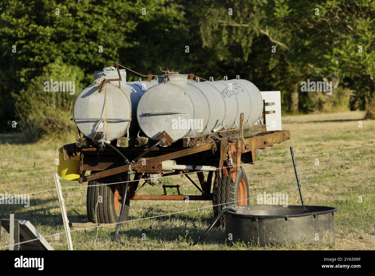 Trailer with water tank serves as a drinking trough for animals Stock ...
