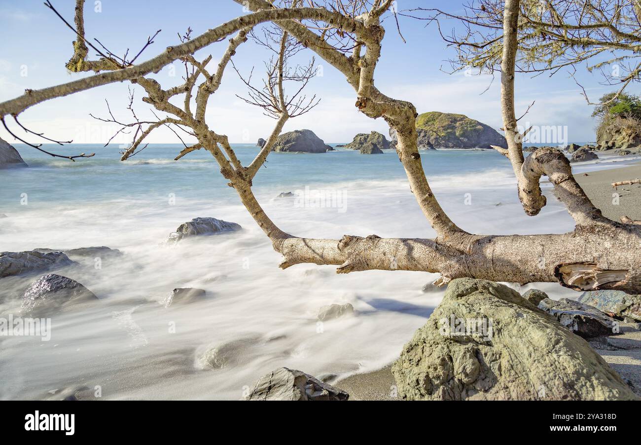Rocky Beach Landscape, Color Image, Pacific Northwest Stock Photo - Alamy