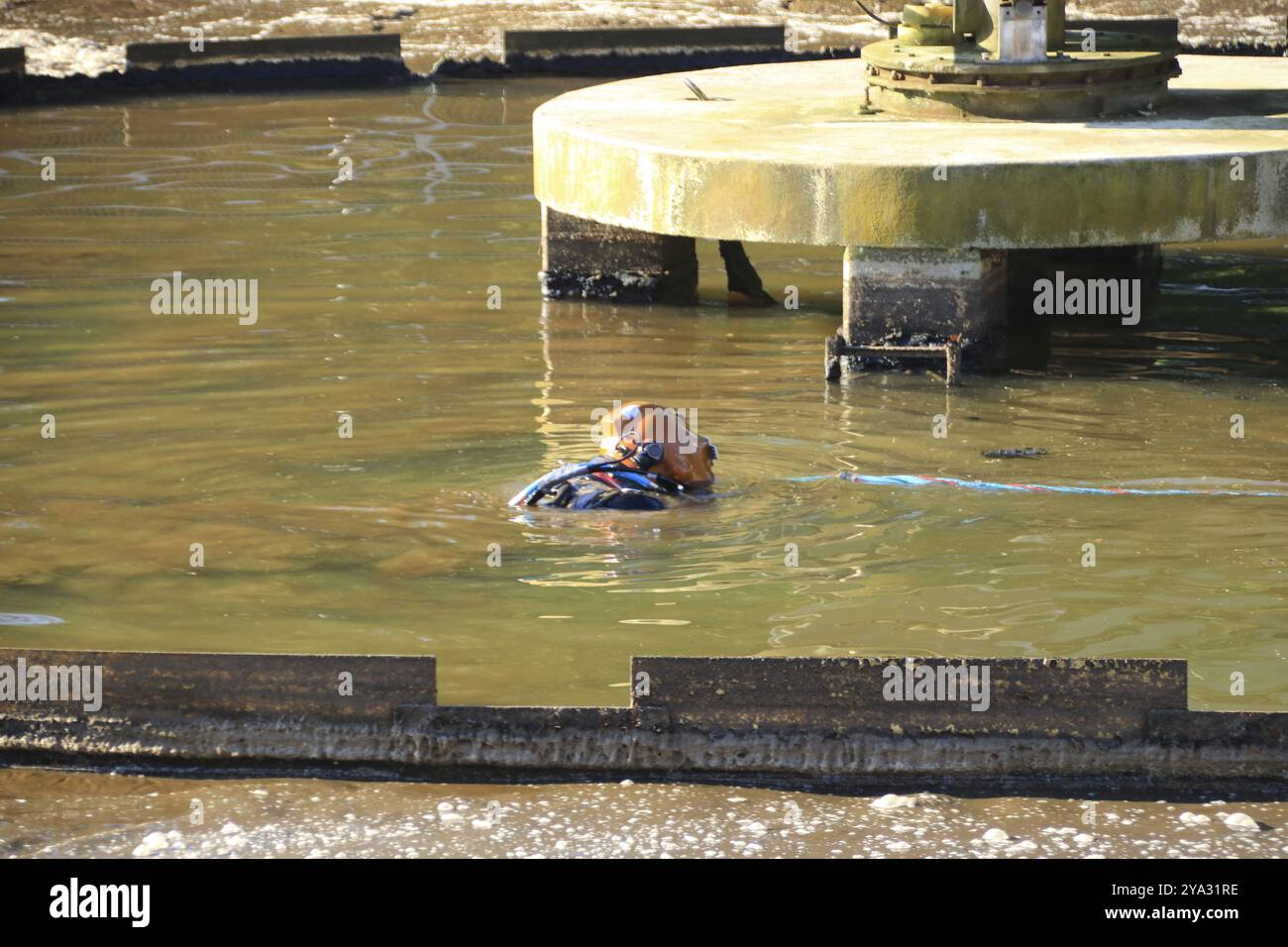 Helmet of a diver looks out of a basin in a sewage treatment plant ...