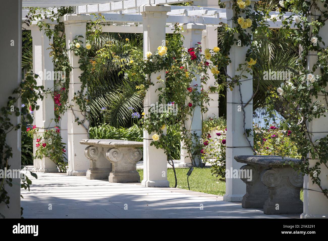 Rose park in the Palermo forest with over a thousand roses in Buenos ...